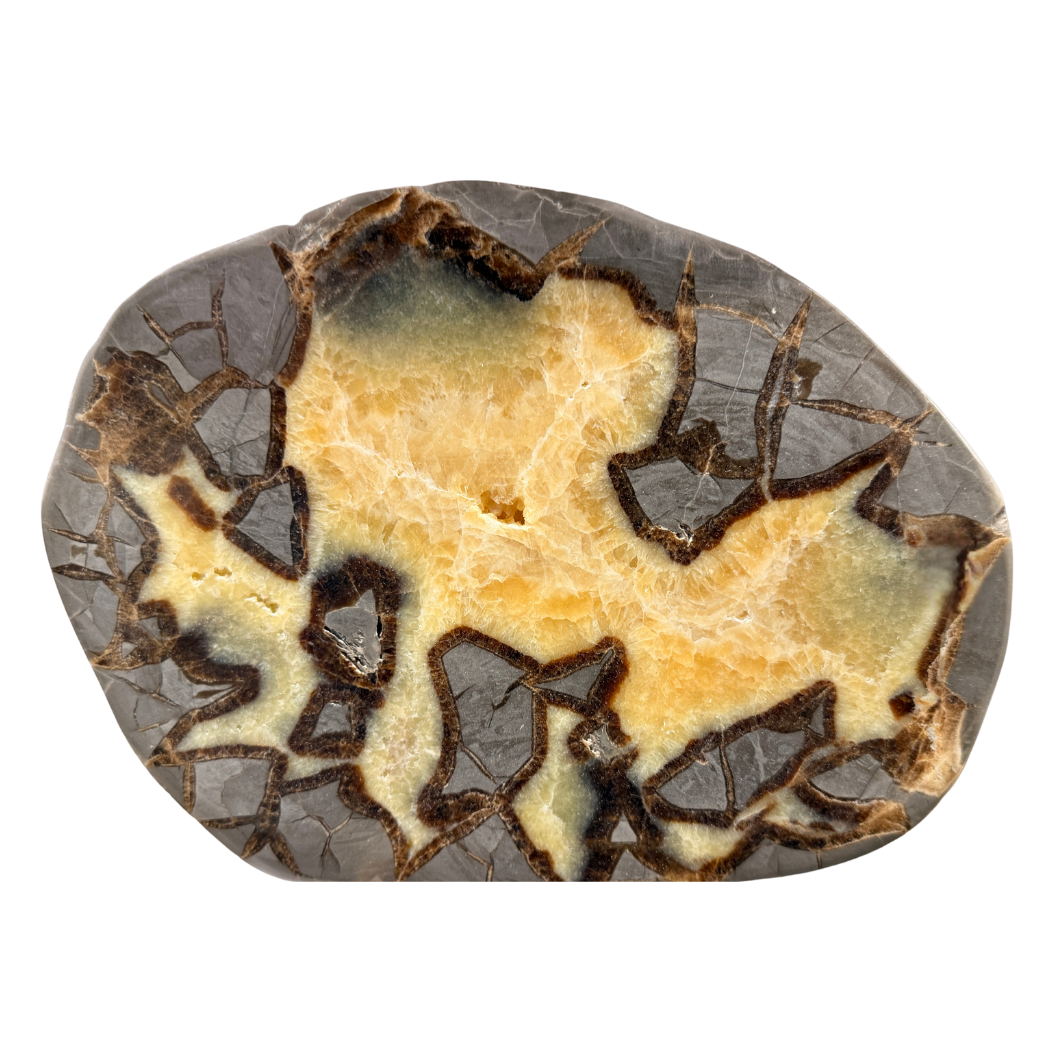 Septarian Nodule Slice on Stand – Natural Dragon Stone Decorative ...